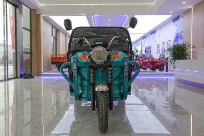 Cina Motociclo elettrico passeggeri a 3 ruote Tuk Tuk 800W 30-50Km/H in vendita