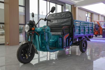 China Motociclo elettrico passeggeri a 3 ruote Tuk Tuk 800W 30-50Km/H for sale