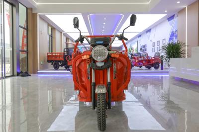 Cina 800W Rail di sicurezza posteriore pieghevole per camion elettrico a tre ruote con autonomia di 80KM in vendita