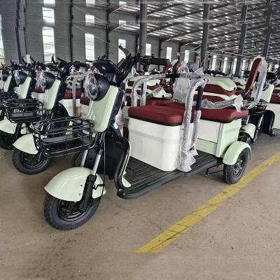 China Triciclo elettrico per famiglia, pendolarismo e tempo libero, 500 Watt C6, 50KM/H for sale