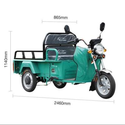 China 2000W Sidecar Adult Electric Tricycles for sale