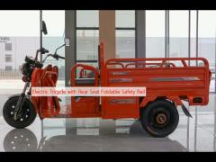 Electric Tricycle with Rear Seat Foldable Safety Rail