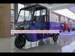 New  for adults cargo electric tricycles passenger use  vehicle