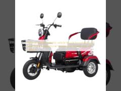 National standard electric vehicle tricycle household small adult women's battery car scooter pick up and drop off children