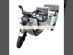 레저 모델 워커 전기 전력 보조 삼륜구동 800W 30-50Km/h