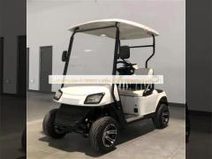 Customizable 2-Seater Latest Model Electric Golf Cart
