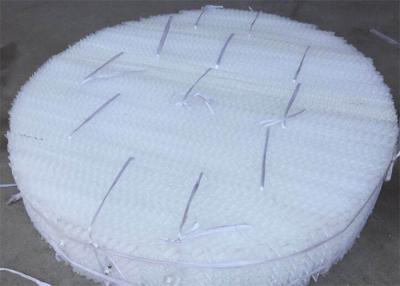 Cina la plastica 250X ha strutturato il tipo superficie di trasferimento dell'imballaggio i pp PVDF massa di perforazione in vendita