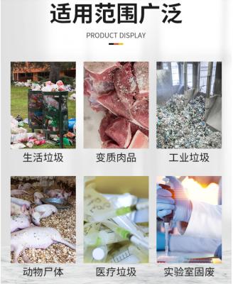 Cina 200 kg/Times - 300 kg/Times Incineratore di rifiuti Incineratore esterno di rifiuti in vendita