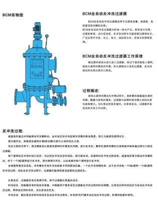 China Stainless Steel 304/306L Full-Automatic Reverse-Washing Filter System for Industrial for sale