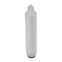 China Building Material Shops Microelectronics PP Pleated Filter Cartridge Sterilizing Grade for sale