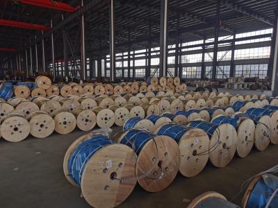China EHS 7/16'' Galvanized Steel Cable Stay Wire Astm A475 Class A Steel Strand 1x7 for sale