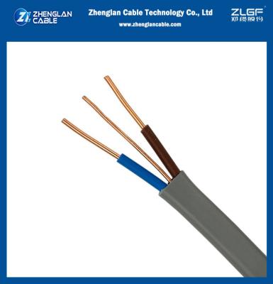 Cina Cable gemello 2 core con terra 2x1.5mm2+1mm2, 2x2.5mm2+1.5mm2 CU/PVC/PVC 300/500V in vendita