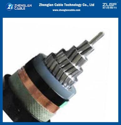 중국 21/35kV 중전압 전원 케이블 무장 알루미늄 케이블 1x300mm2 AL/SC/XLPE/SC/CTS/PVC IEC 60502-2 판매용