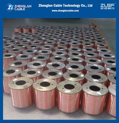 Cina CCS Acciaio rivestito di rame Filtro di acciaio con 30% di conduttività Cavo a fili ASTM B228 Filtro di messa a terra nudo Conduttore elettrico Filtro di acciaio rivestito di rame in vendita