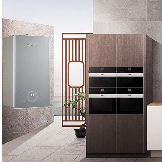 Wall Mounted Home Gas Boiler Overtime Protection For Radiator And Floor Heating