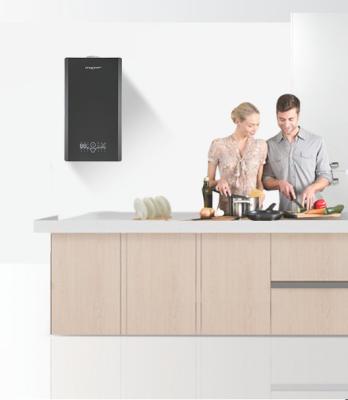 China Energy Efficiency Wall Hang Gas Boiler With Balanced Flue for sale