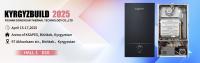 China High Performance Wall Hung Gas Boiler Programmable Control for sale