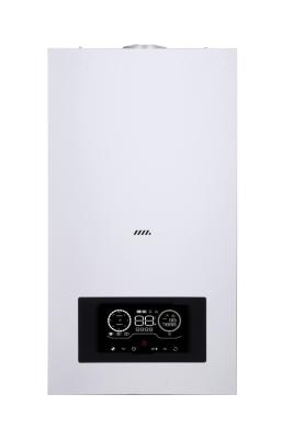 China OEM Brand Custom Factory Household Gas Water Heater for sale
