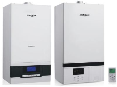 Cina Caldaia a gas calma dell'acqua calda con controllo automatico di Mircrocomputer in vendita