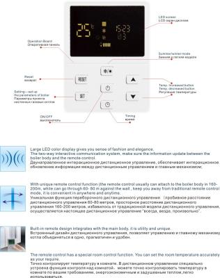 Cina Caldaia a gas calma dell'acqua calda con controllo automatico di Mircrocomputer in vendita