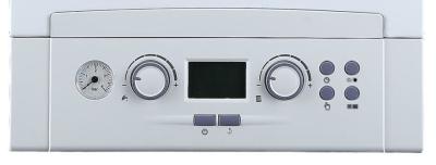 Cina Parete intelligente Hung Gas Boiler For Heating di programma e doccia in vendita