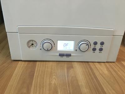 Cina Parete intelligente Hung Gas Boiler For Heating di programma e doccia in vendita