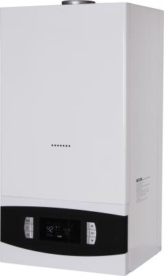 Cina Scambiatore di calore di rame senza ossigeno di Heater With 1.6kg dell'acqua del gas 16KW in vendita