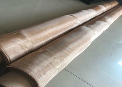 Cina Stile di tessitura normale dello schermo della rete metallica di filo di rame del bronzo fosforoso per la fabbricazione di carta in vendita
