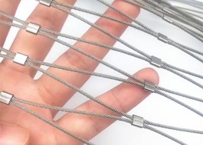 China resistência feita malha de aço inoxidável da rede de arame da virola de 60mm x de 60mm anti para o cerco do jardim zoológico à venda
