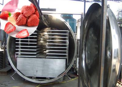 China 300 kg vacuüm Atla industriële voedsel groenten droge vriezer machine for sale