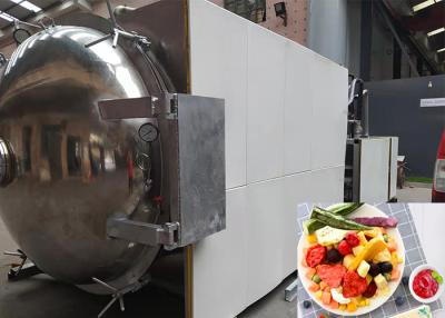 China OEM ODM Voedsel vacuüm vriesdroger PLC controle 500kg/batch for sale