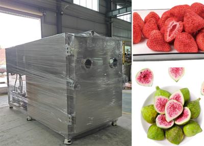 China Elektrische verwarming Voedsel Groenten Vriesdroger 100Kg 200Kg for sale