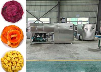 China Professionele voedingsvacuümvriesdroger voor optimale droogresultaten for sale