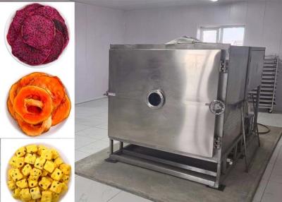 China Voedingsmiddelen vacuüm vriesdroger voor snel en nauwkeurig drogen for sale