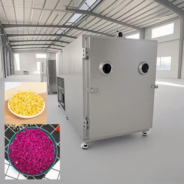 Quality 50Kg 100Kg Vegetable Freeze Dryer Automatic Vacuum Freeze Dryer Machine For Industrial for sale