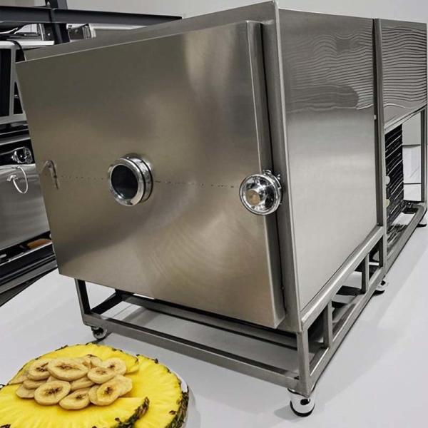 Quality Freeze Dried Fruit Freeze Dryer Lyophilizer 200KG 100KG 50KG Capacity for sale