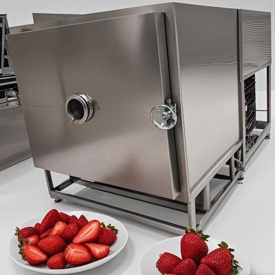 China Nutrient Optimized Vegetable Freeze Dryer‌ Industrial Lyophilizer For Various Food for sale