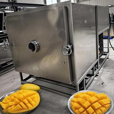 China Fruit Vegetable Freeze Drying Machine Commercial Lyophilizer 100KG Capacity for sale