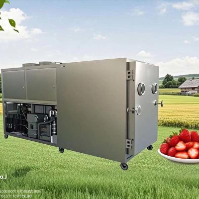China Heavy Duty Vegetable Fruit Freeze Dryer‌ Lyophilizer 380V Freeze Drying Process for sale