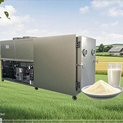 China Commercial Multi Batch Lyophilizer Freeze Drying Machine Fruit Meat for sale