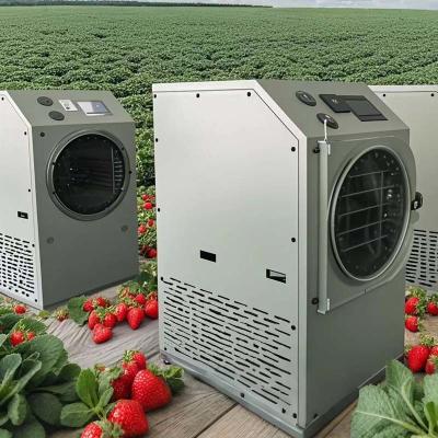 China 20kg Multi Use Freeze Dryer Machine Process Herbs Coffee Candy Milk Dairy Easily for sale