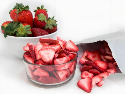 China Freeze Dry Cycle 24-30 Hours Medium Size Home Freeze Dryer with Intelligient System Remote Control for sale