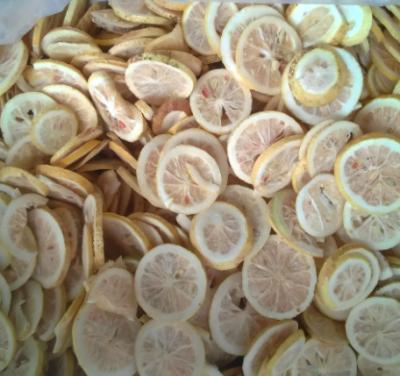 China Freeze Dry Cycle 24-30 Hours Medium Size Home Freeze Dryer with Intelligient System Remote Control for sale