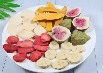 China Mini Freeze Dryer with Intelligent System Remote Control and Compact Design for sale