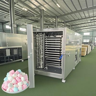 China ‌Industrial Vacuum Freeze Dryer 300KG Large Batch Processing Equipment For Herbs for sale