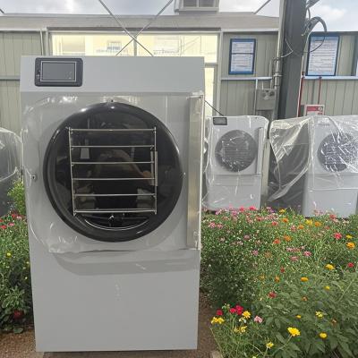 China Advanced Compact Technology 20kg Small Home Freeze Dryer Freshness ‌Energy Efficient Mini Daily Use for sale