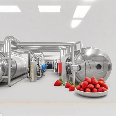 China Industrial Lyophilizer 500kg Continuous Freeze Drying System for Herbs for sale