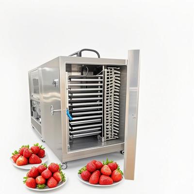 China 100kg GMP Freeze Dryer Machine  Food Grade Lyophilization for sale