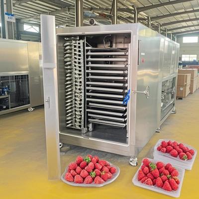 China ‌200kg Batch Freeze Dryer Automatic Control For Meat / Fruit Dehydration for sale