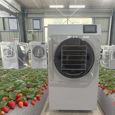 China 6kg Pilot Freeze Dryer R&D To Small Batch Production With Touchscreen PLC for sale